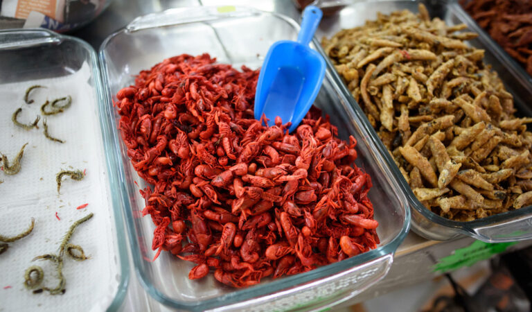 Edible Insect Restaurants Archives - Edible Insects News