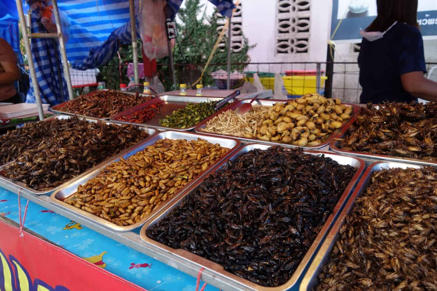 11 Gross Bugs That Are Good to Eat - Edible Insects News